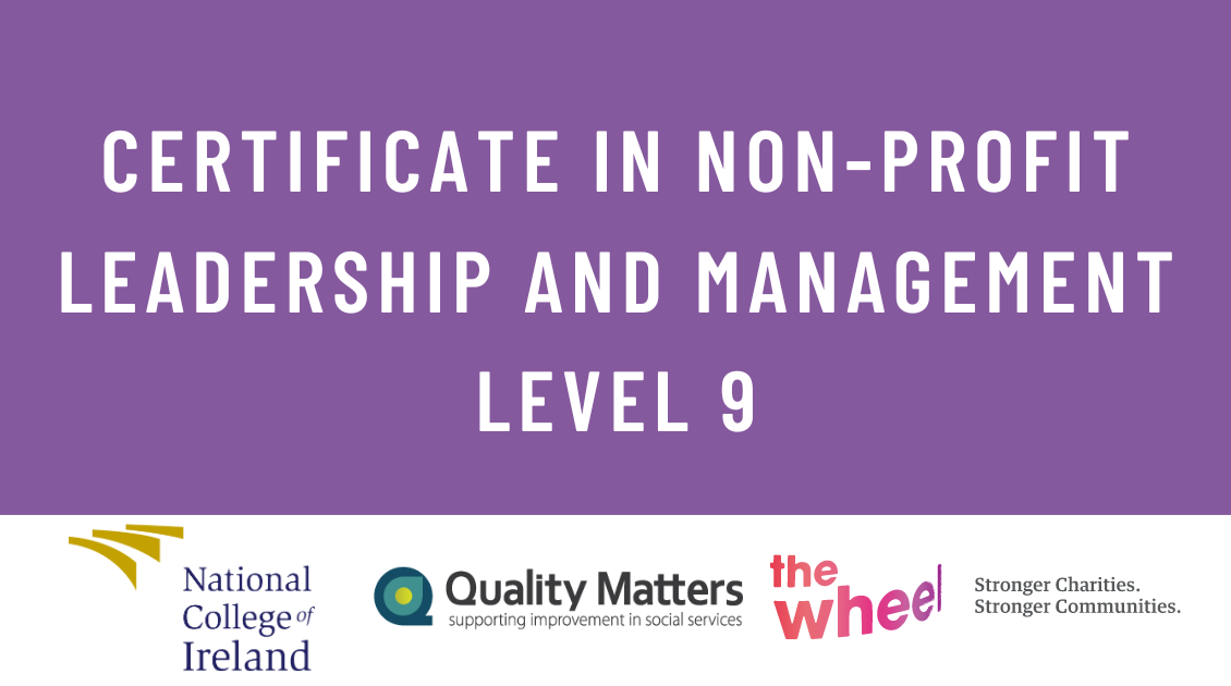 Leaders for Change Programme – National College Ireland Level 9 ...